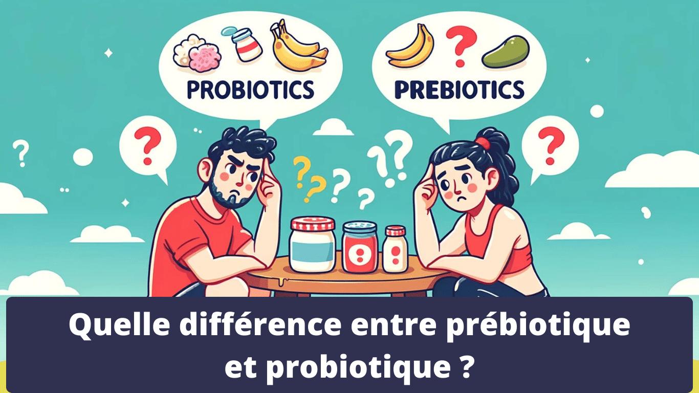 Quelle est la différence entre prébiotique et probiotique